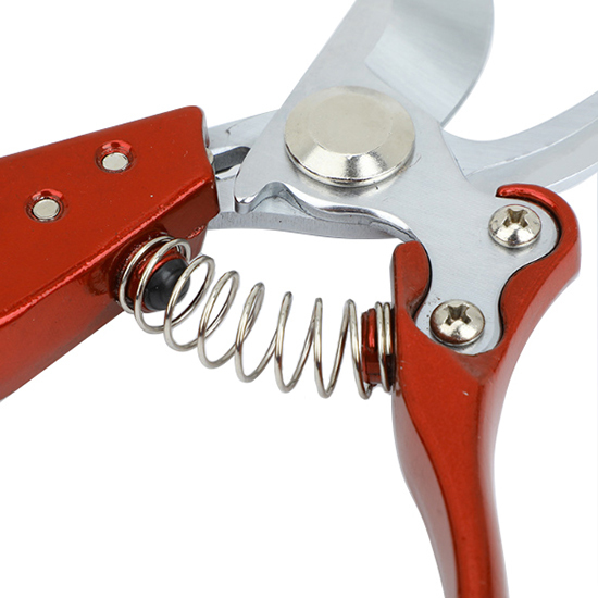 50mm Hand Tree Pruners, 10pcs/ Set | Tool.com